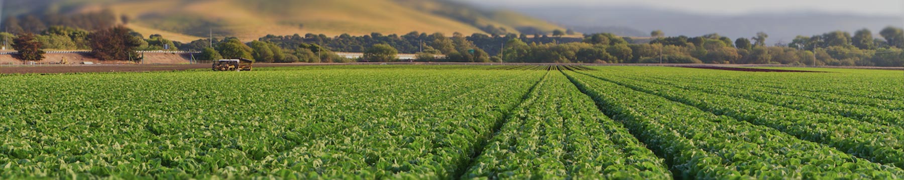 PRO*ACT Member | Loffredo Fresh Foods