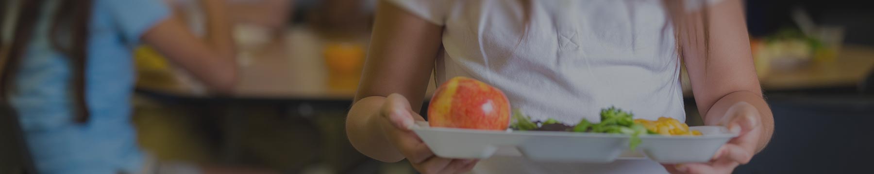 Produce Distribution For Schools | Loffredo Fresh Foods